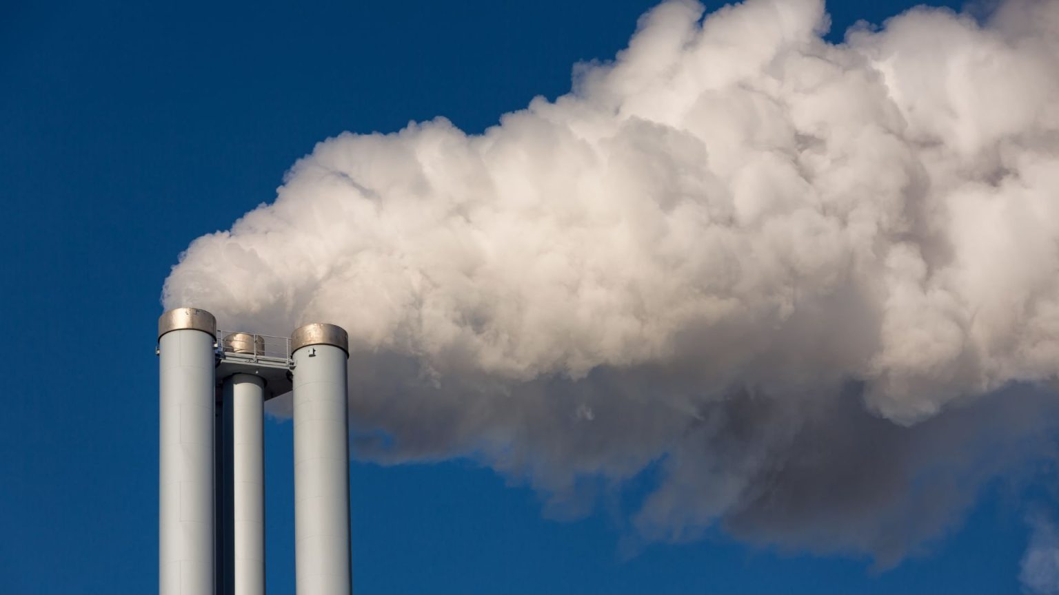 Top 5 Pros & Cons of Biomass Energy + Solar Power Savings