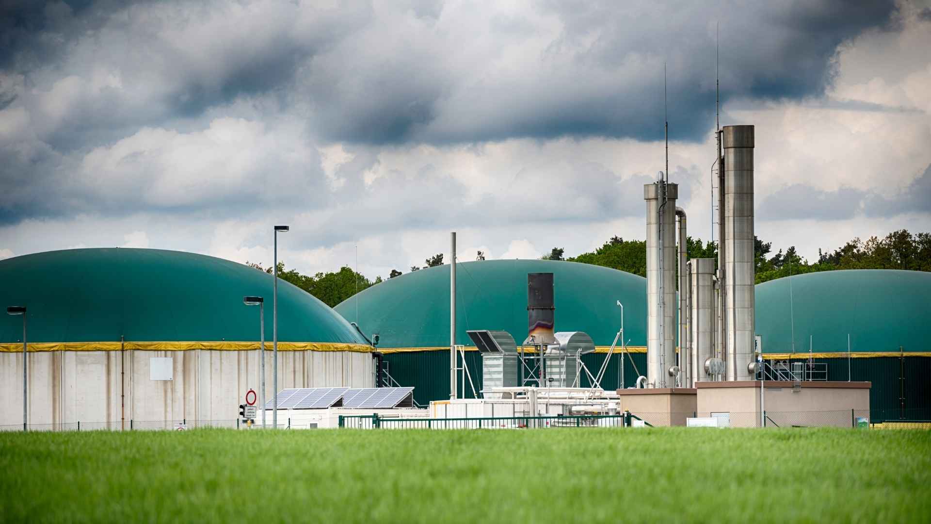 Top 5 Pros & Cons of Biomass Energy + Solar Power Savings