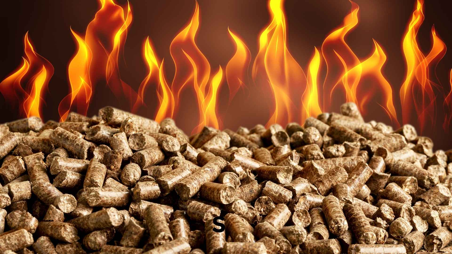 Top 5 Pros & Cons of Biomass Energy + Solar Power Savings